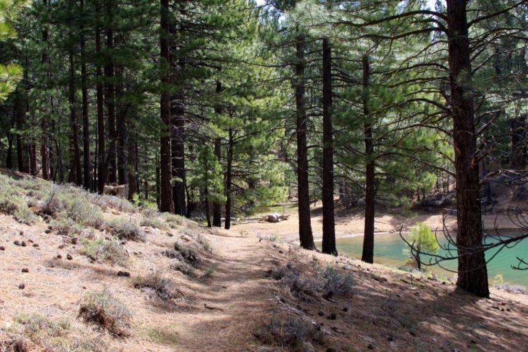 Lake Davis | Plumas County California