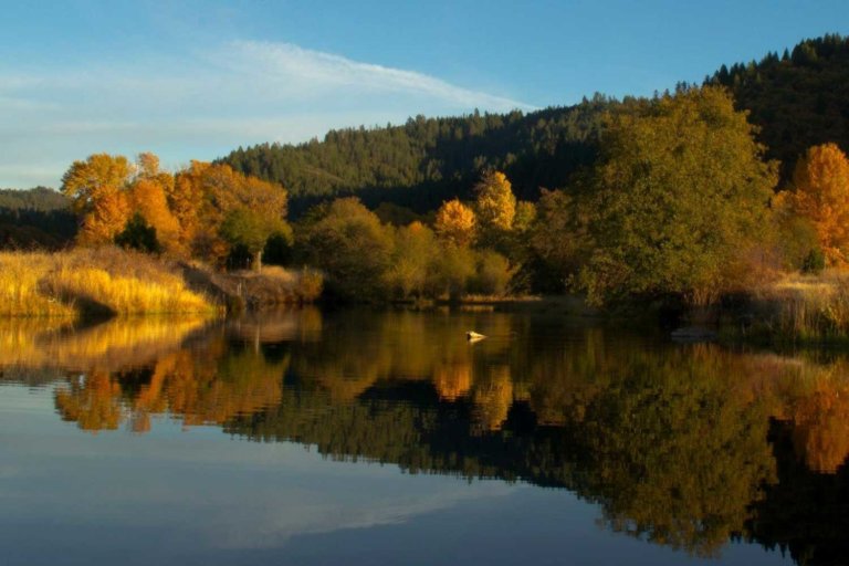 Where to See Fall Colors in Northern California | Plumas County California