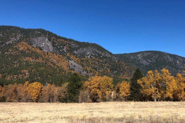Where to See Fall Colors in Northern California | Plumas County California