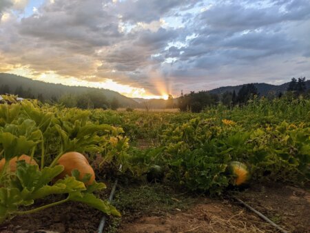 Belden | Plumas County California
