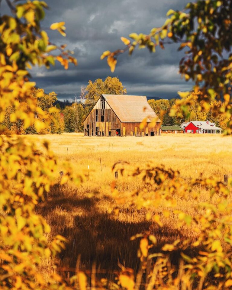 Experience California Fall Colors | Plumas County California