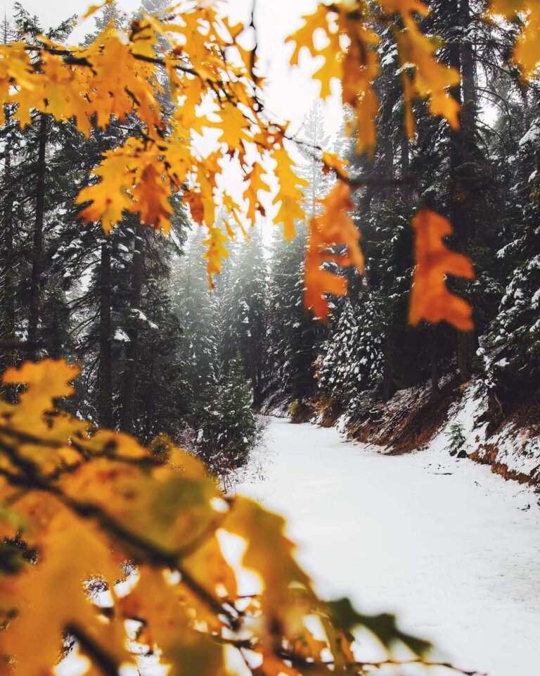Experience California Fall Colors | Plumas County California