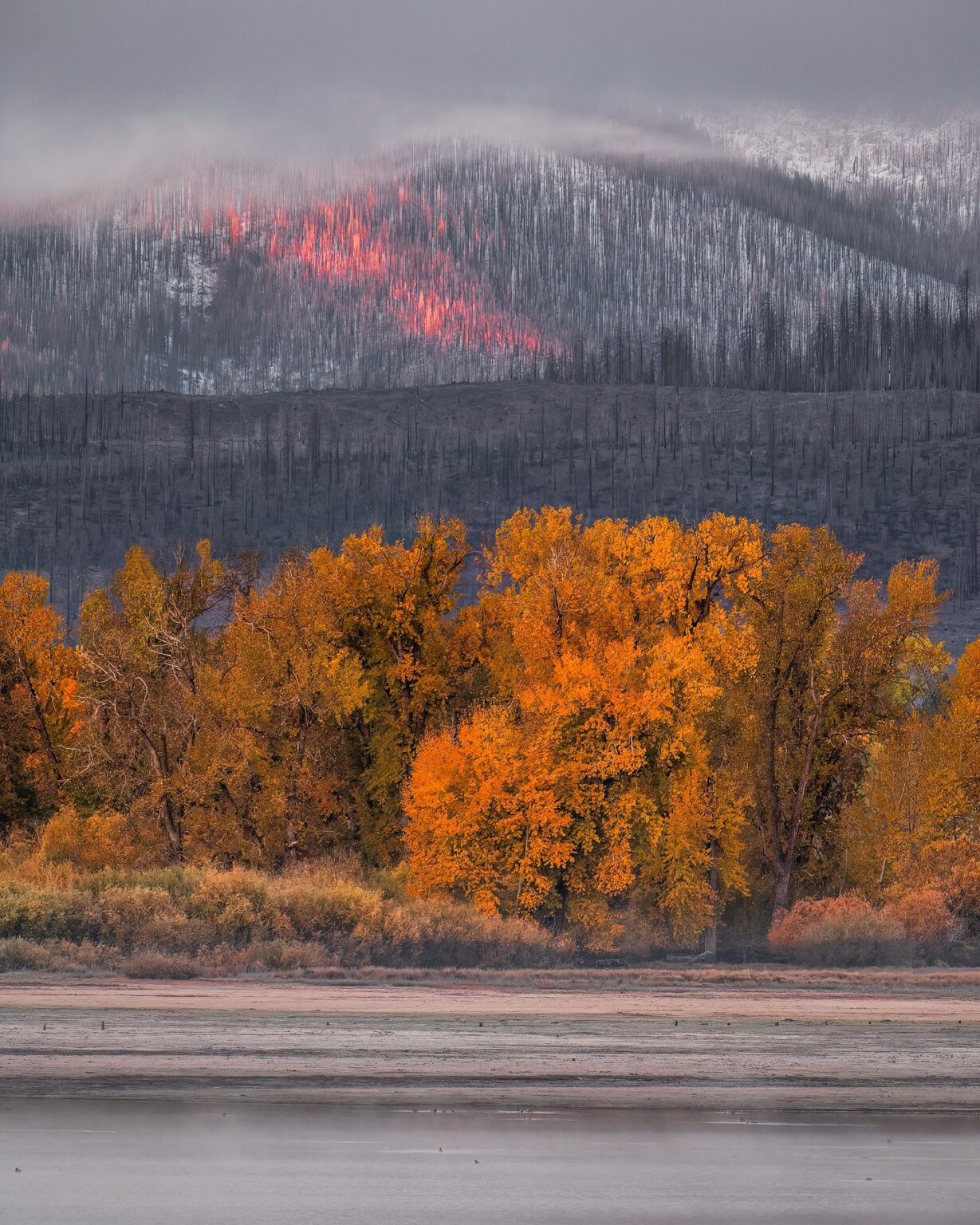 Experience California Fall Colors | Plumas County California