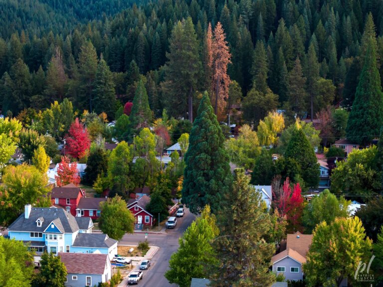 Experience California Fall Colors | Plumas County California