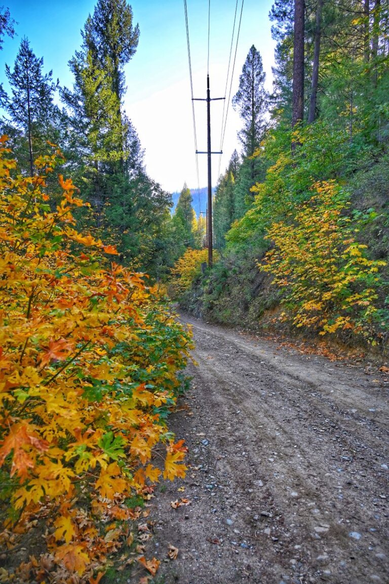 Where to See Fall Colors in Northern California | Plumas County California