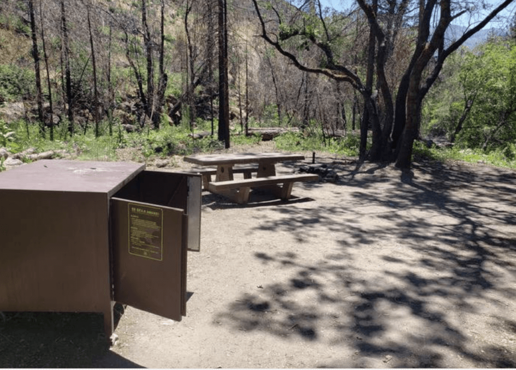 Queen Lily Campground | Plumas County California