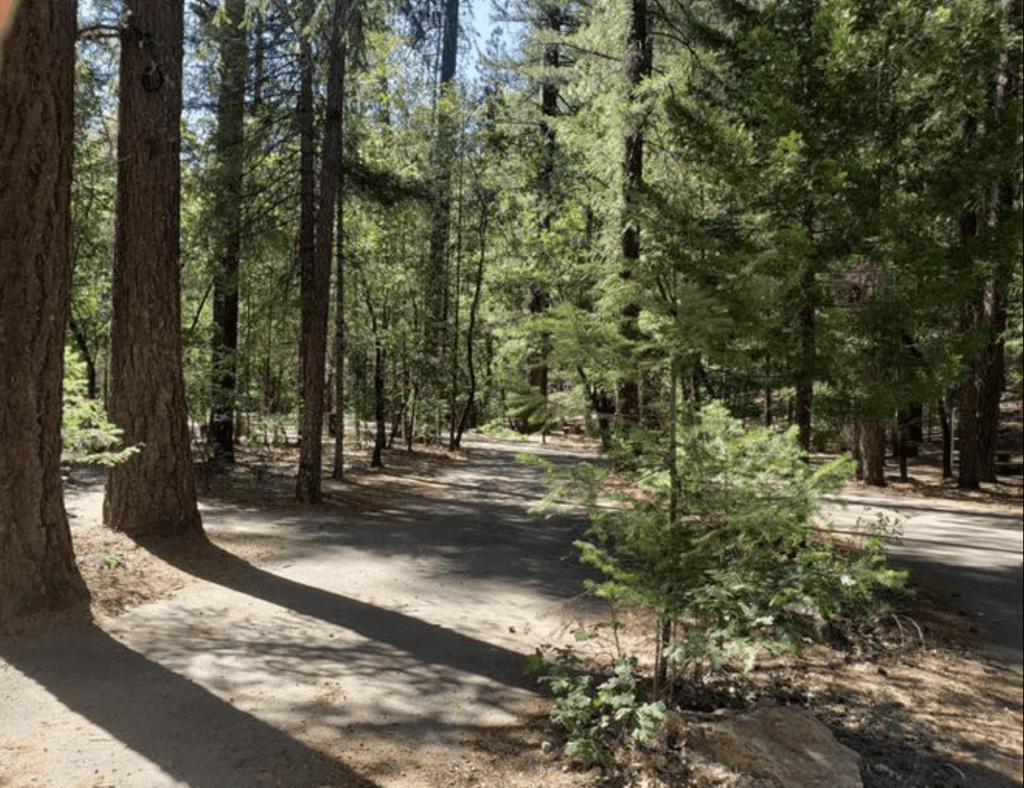 Hallsted Campground | Plumas County California